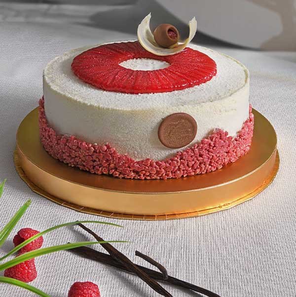 Raspberry Vanilla Ice Cream Cake