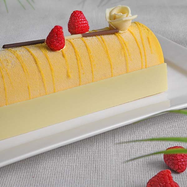 Sunshine Ice Cream Bûche